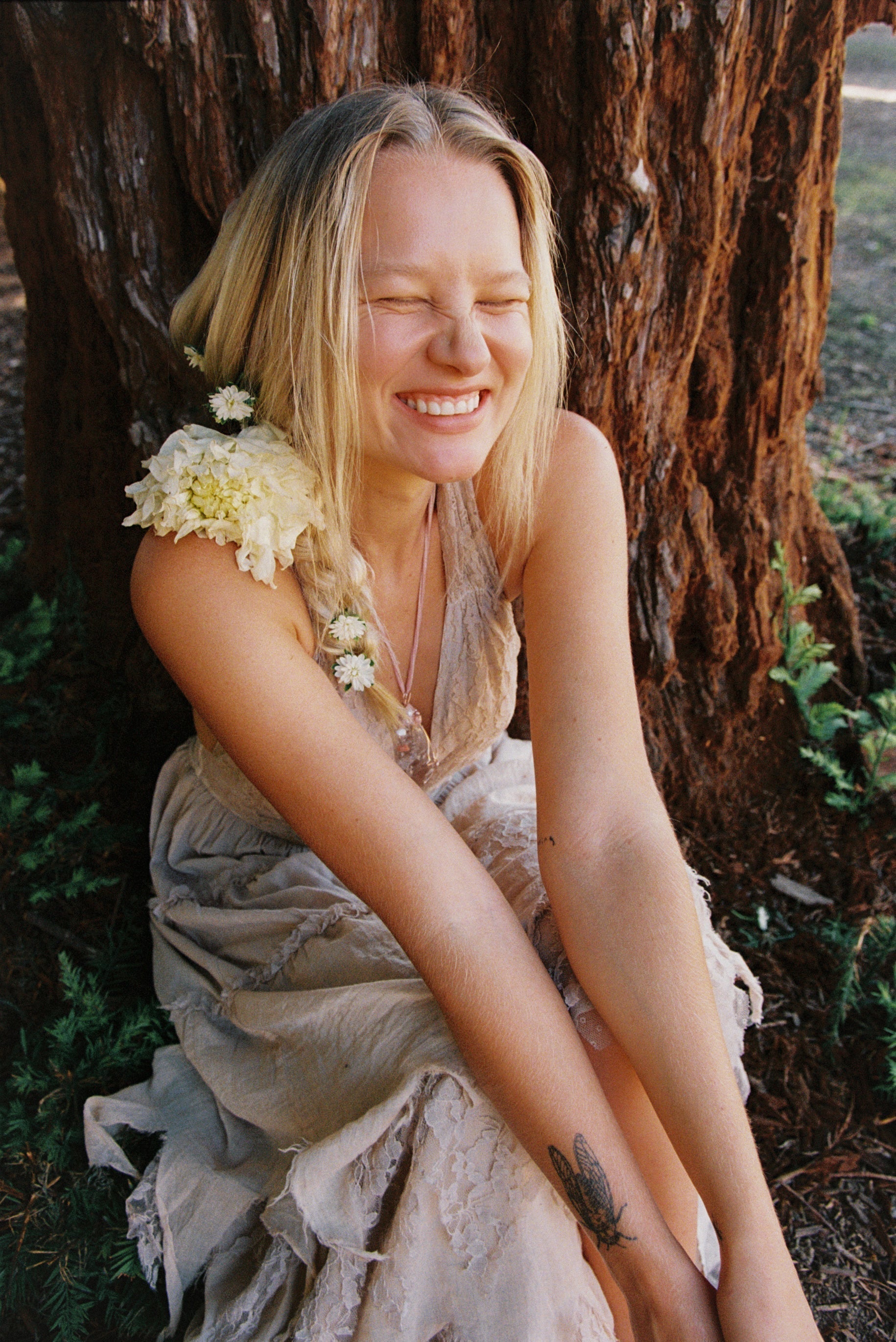 Wandering Redwoods Forest with @_lilikoi – Tree of Life