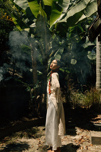 Tree Blog – Tree of Life