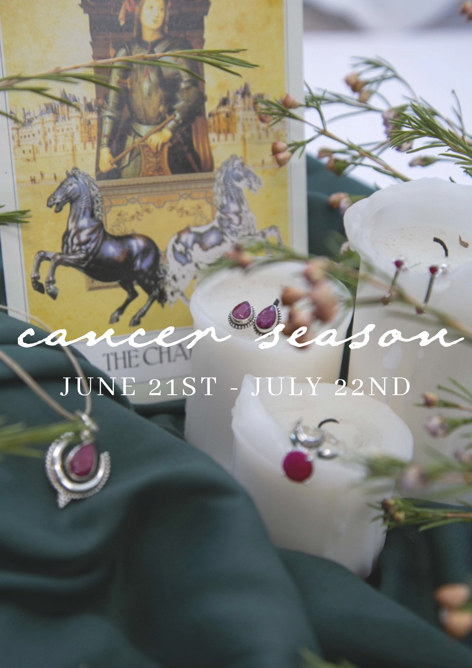 Cancer Season – Tree of Life