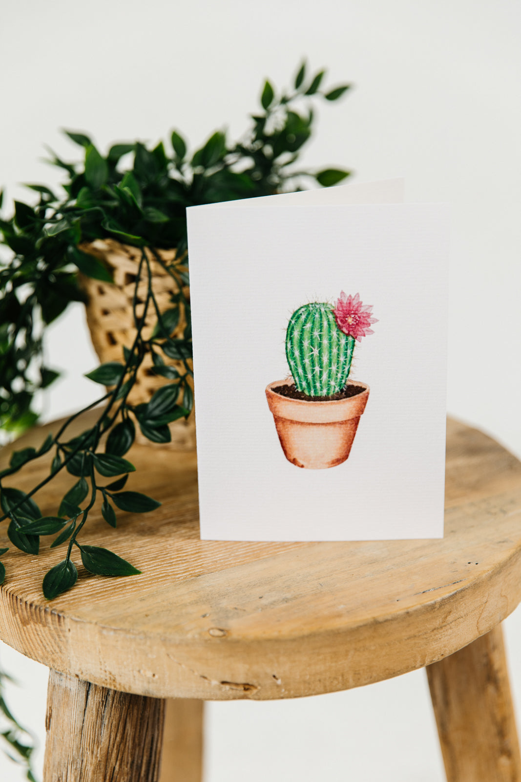 Cactus Flower Greeting Card – Tree of Life